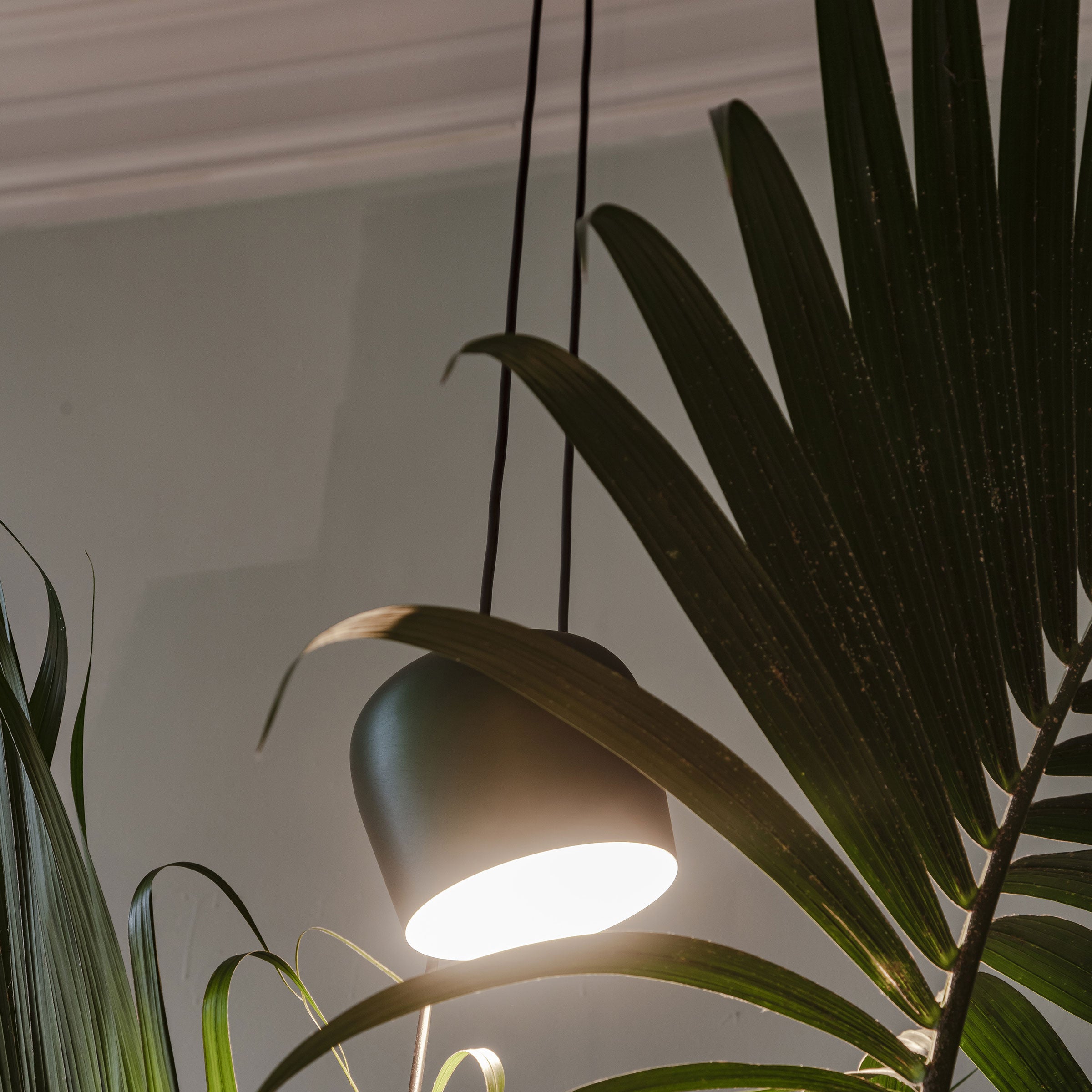 Aim Single Pendant Light By Flos