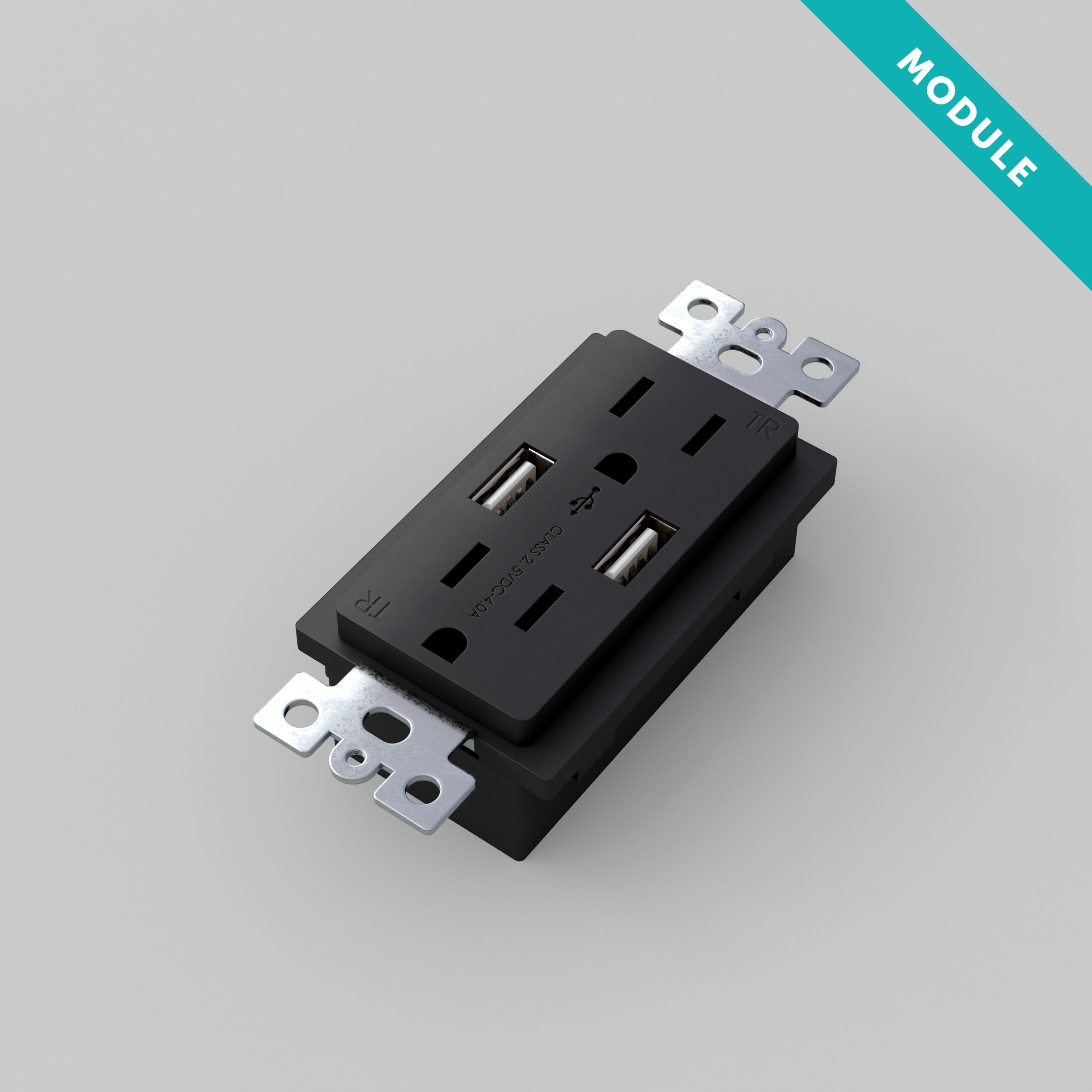 Duplex Outlet Module USB By Buster And Punch