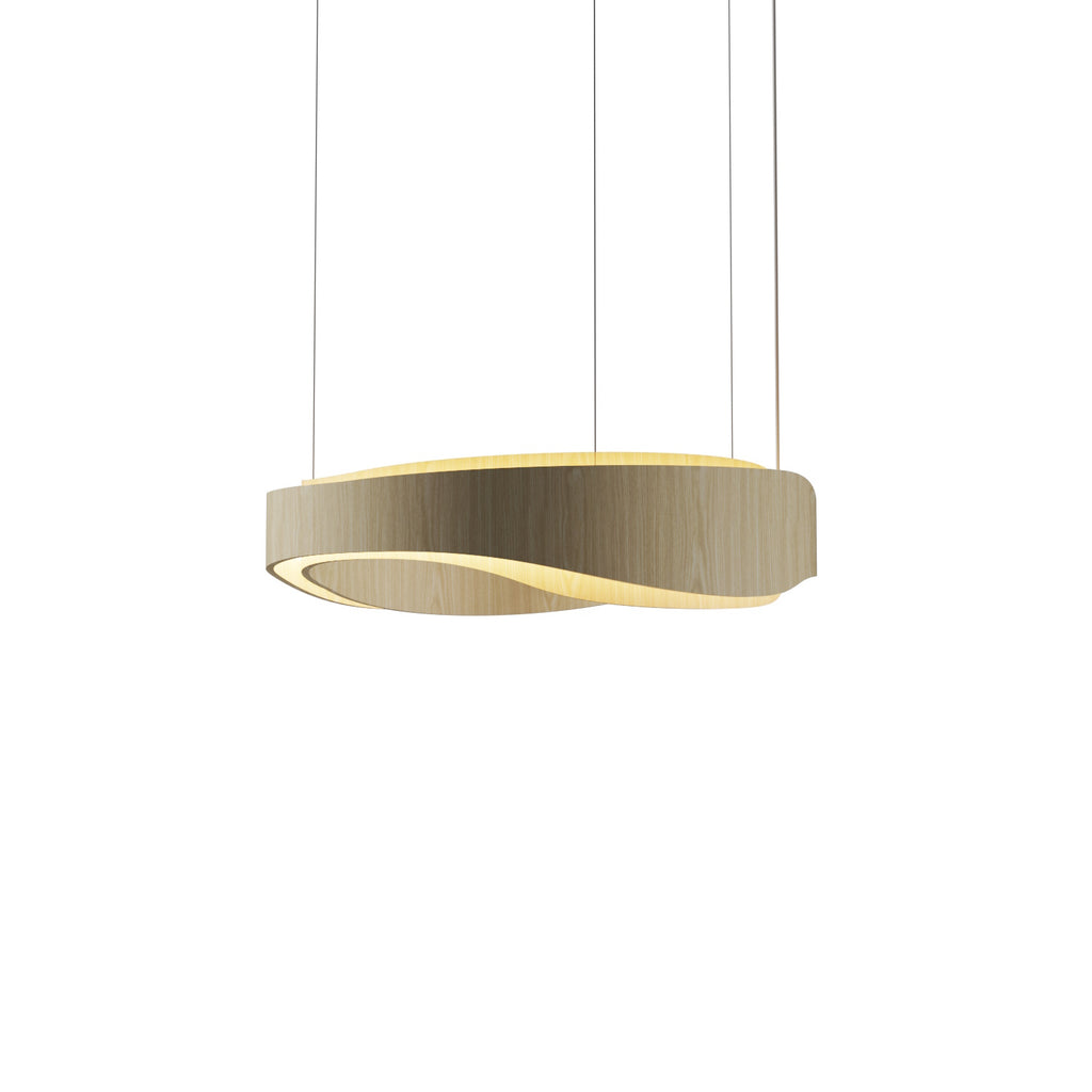 Horizon Ring Pendant Light By Accord Lighting