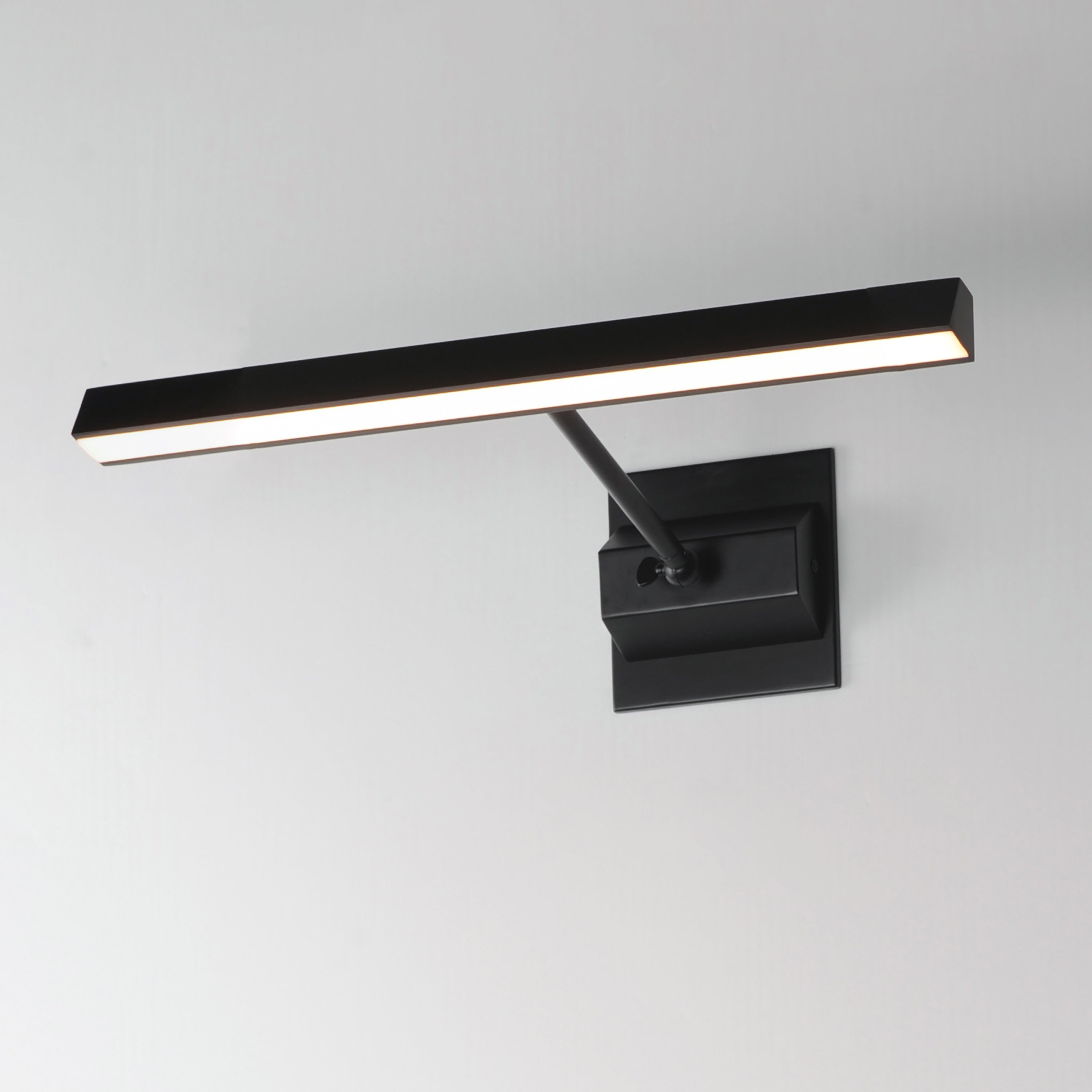 Pasha LED Picture Light By ET2