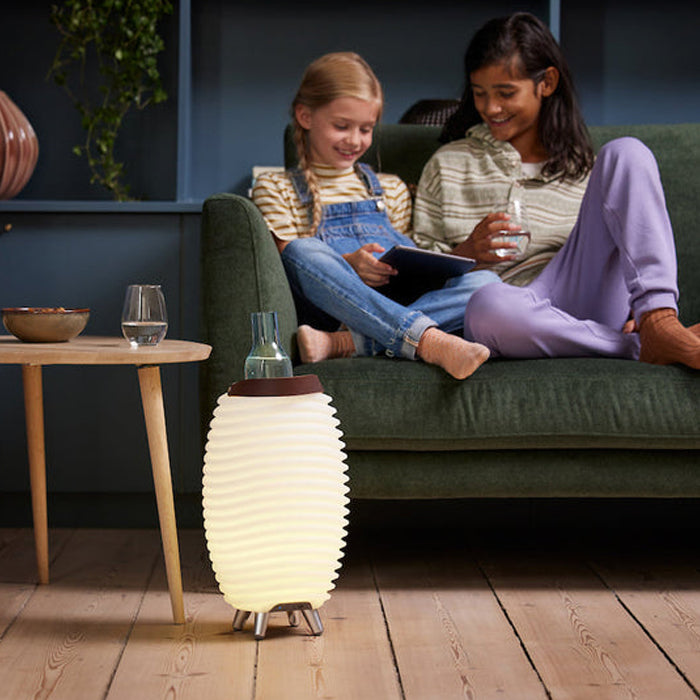 Synergy Battery Wine Cooler Lamp By Kooduu