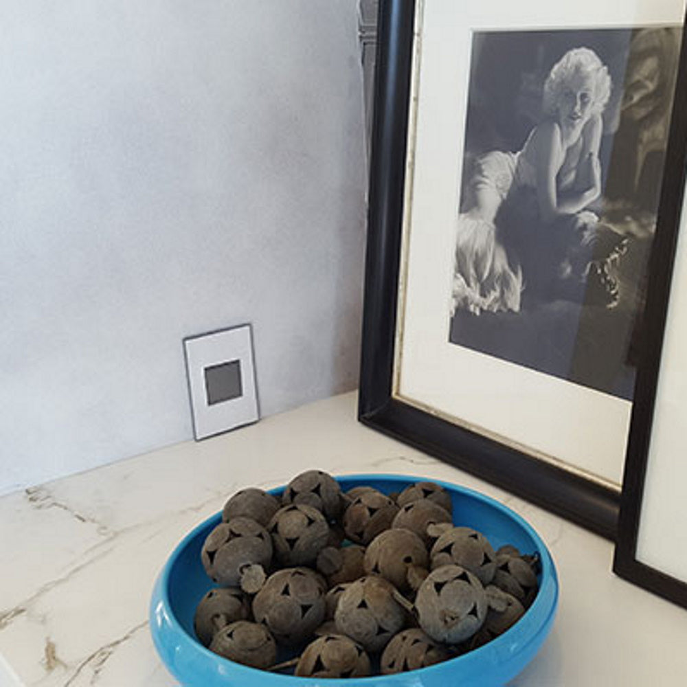 Adorne 20A One-Gang Pop-Out Outlet by Legrand Adorne