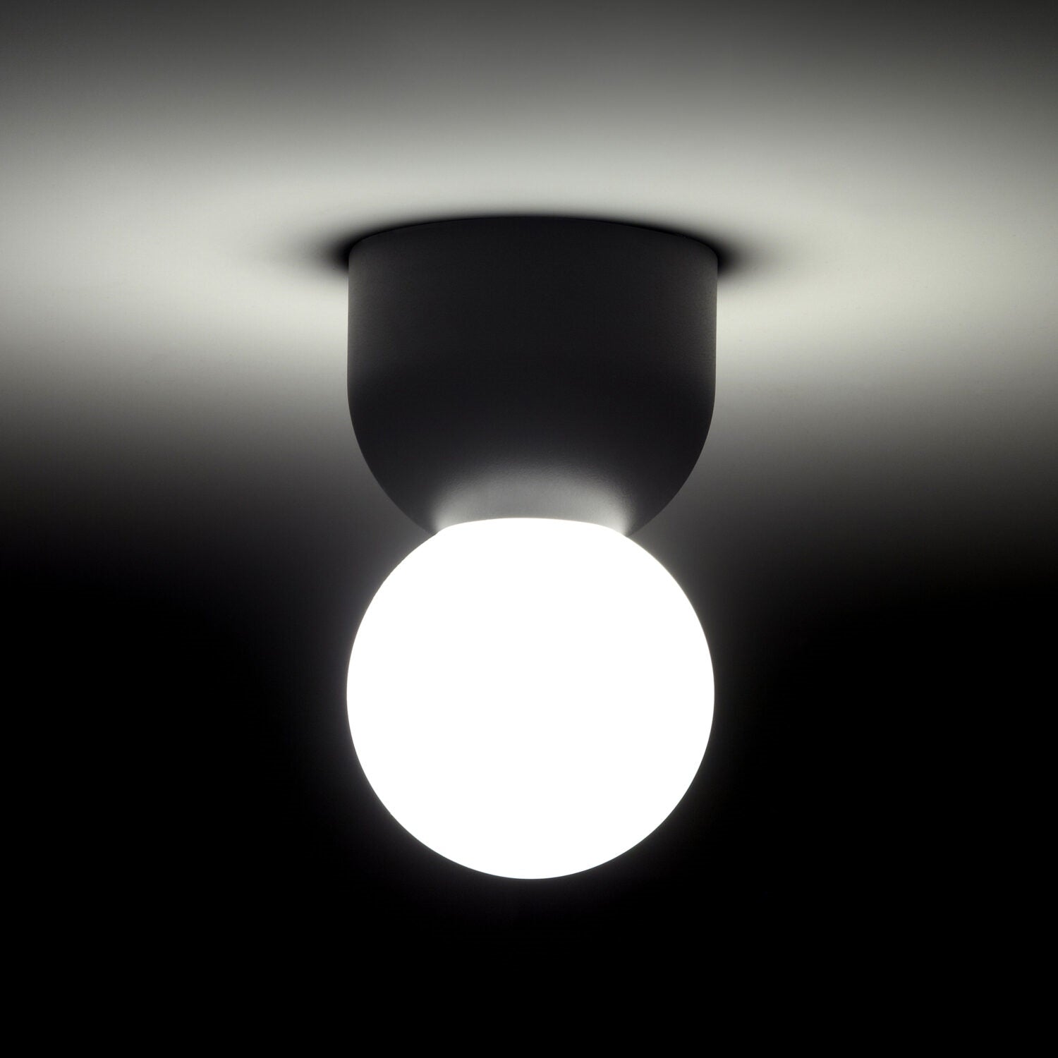 Bullet Ceiling Light By Toss B